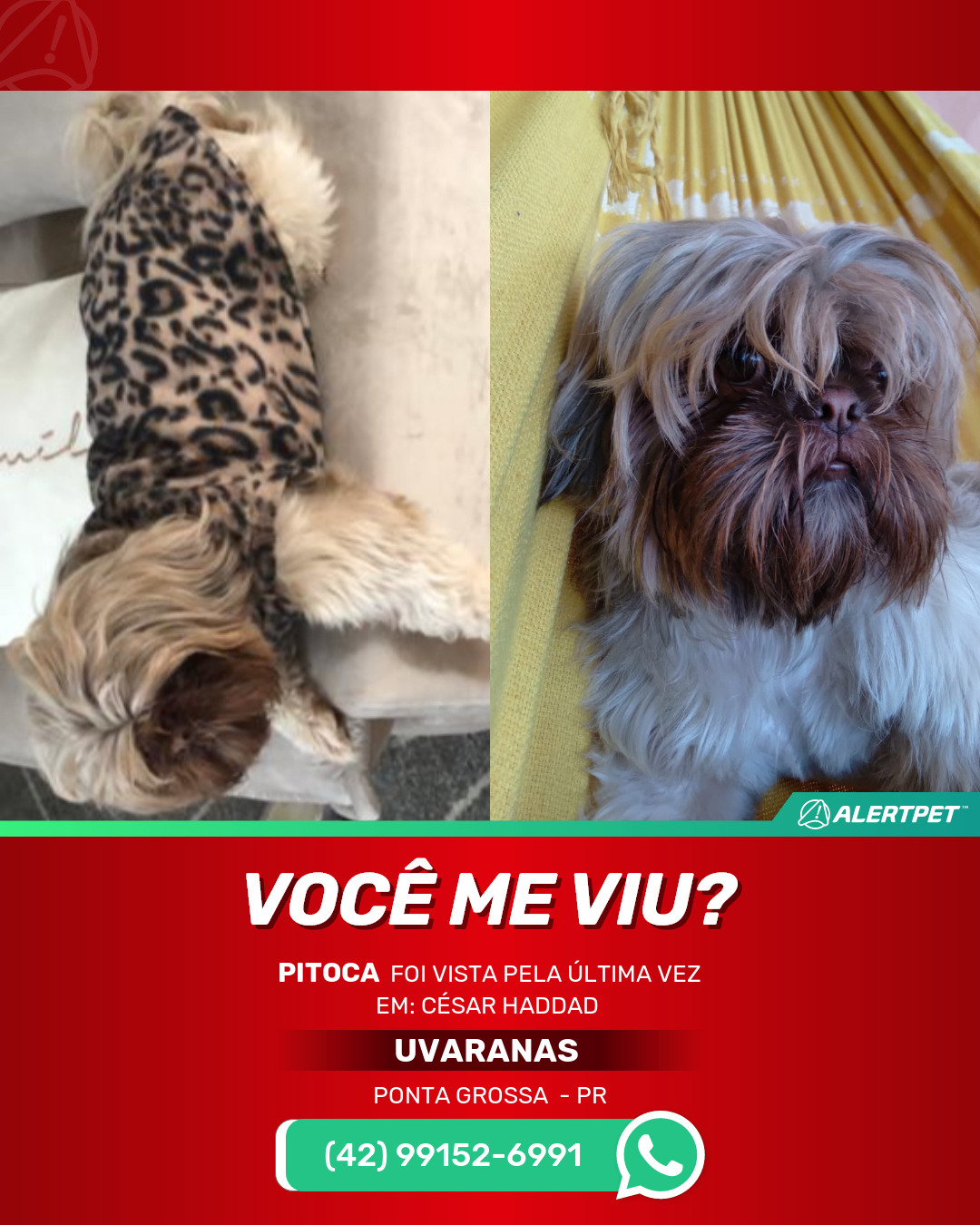 Chorando Se Foi Pets Preppassl Chorando Se Foi Pets Preppassl